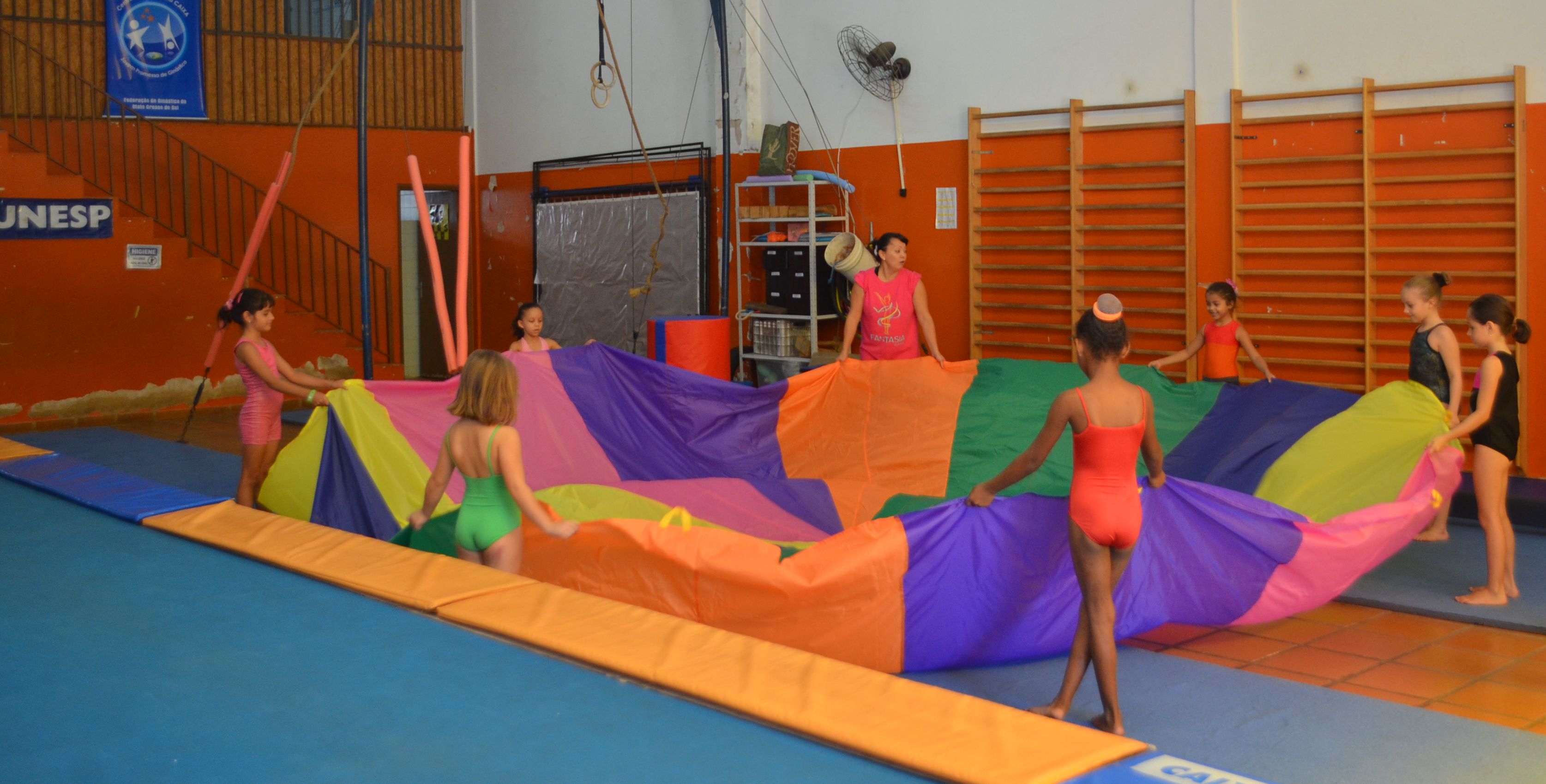 Equipes feminina e masculina de ginástica retomam treinamento no Cefat ...