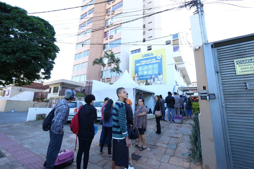 Prefeitura comemora um ano de funcionamento da Ubea com 20 mil animais ...